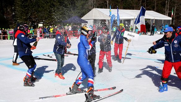 FIS | Para Alpine Hub