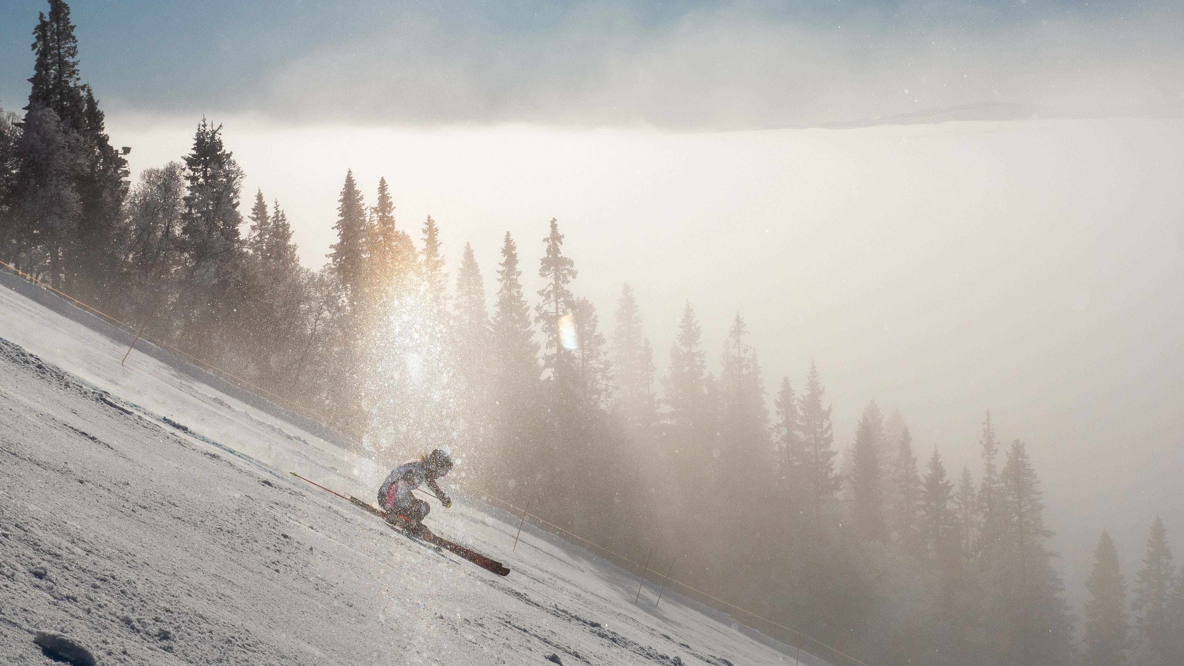 FIS | Sustainable Nutrition Boosted at Åre World Cup with “Food for ...