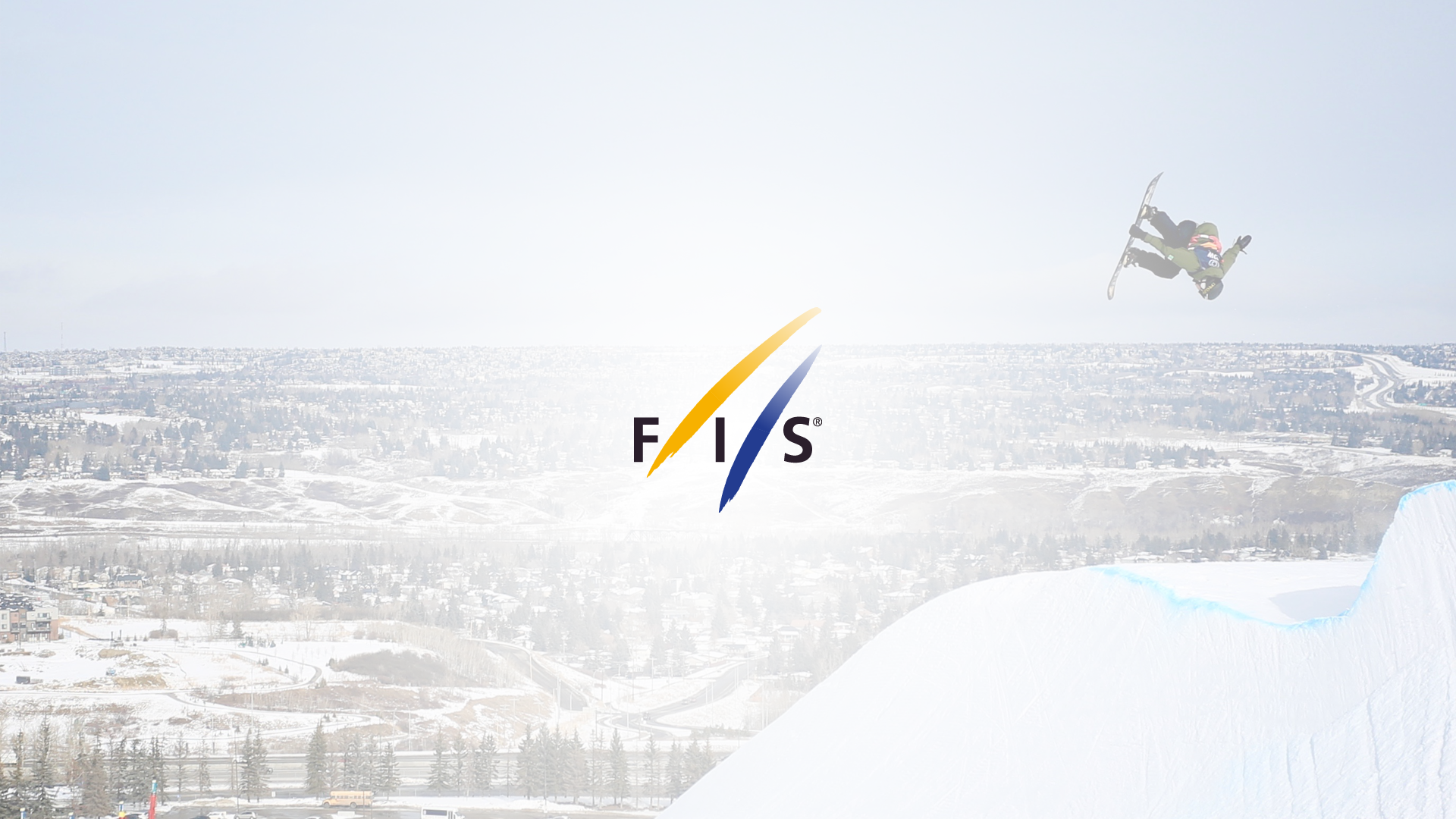 FIS | New Working Groups approved at the FIS Council Meeting in June